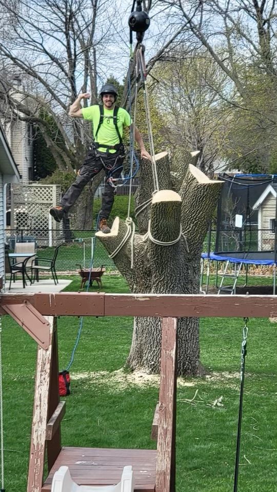 Canopy Cops Tree Service