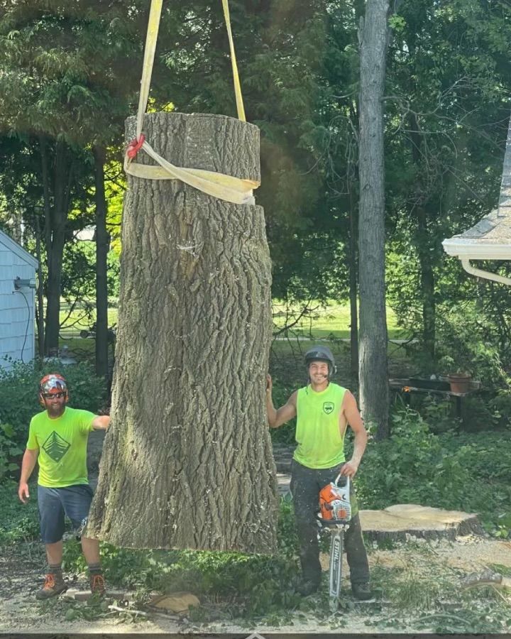 Canopy Cops Tree Service