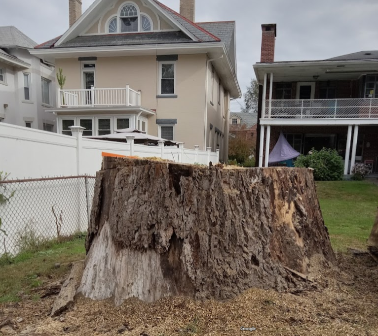 Compton Tree Experts | Canyon Lake TX