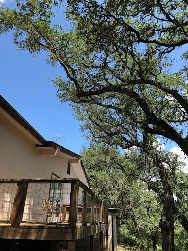 Compton Tree Experts | Canyon Lake TX