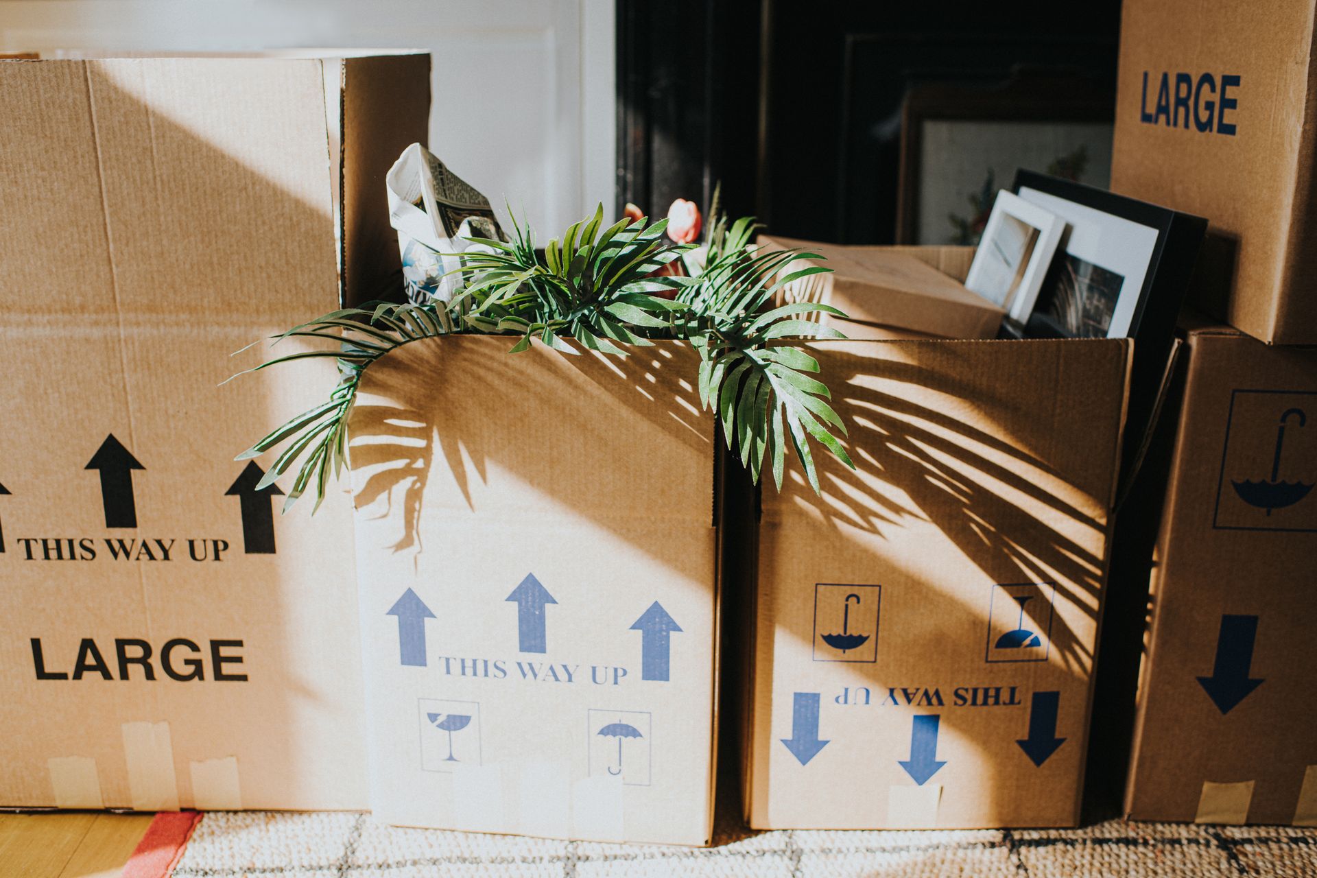 Office Relocations, Interstate Removals, Cheap Removalist Companies ...