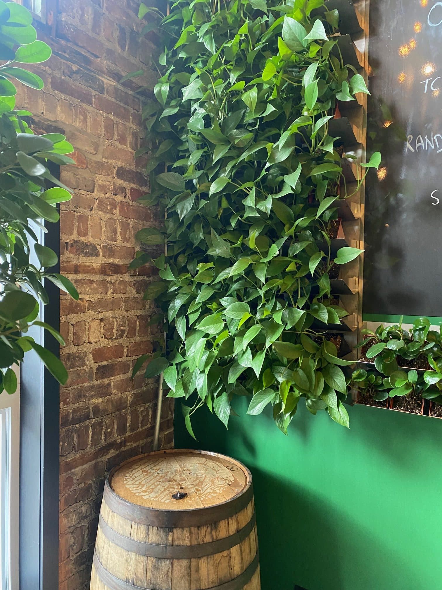 Revêtements muraux au Québec | Vertika Design