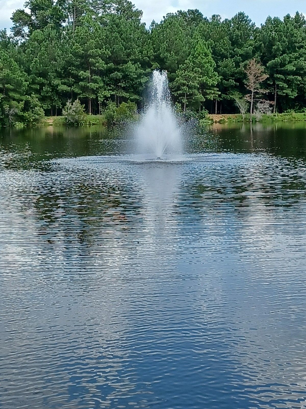The Shores at Elders Pond