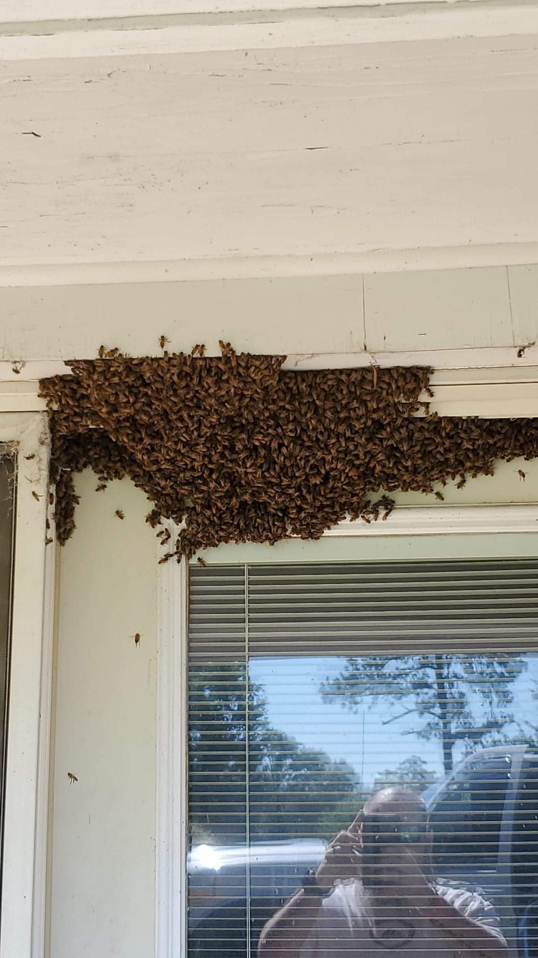 Phillip's Pest Control and Home Inspection - Opp Alabama