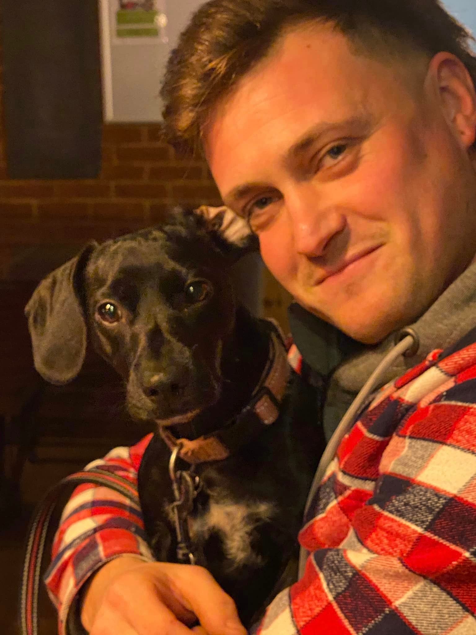 16th Century Thatched Pub in the New Forest - The Elm Tree