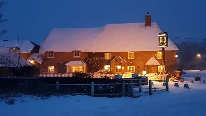 16th Century Thatched Pub in the New Forest - The Elm Tree