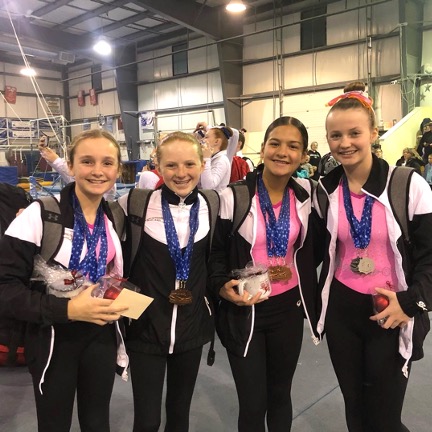 Competitive Team Gymnastics Program | South Shore Gymnastics Academy