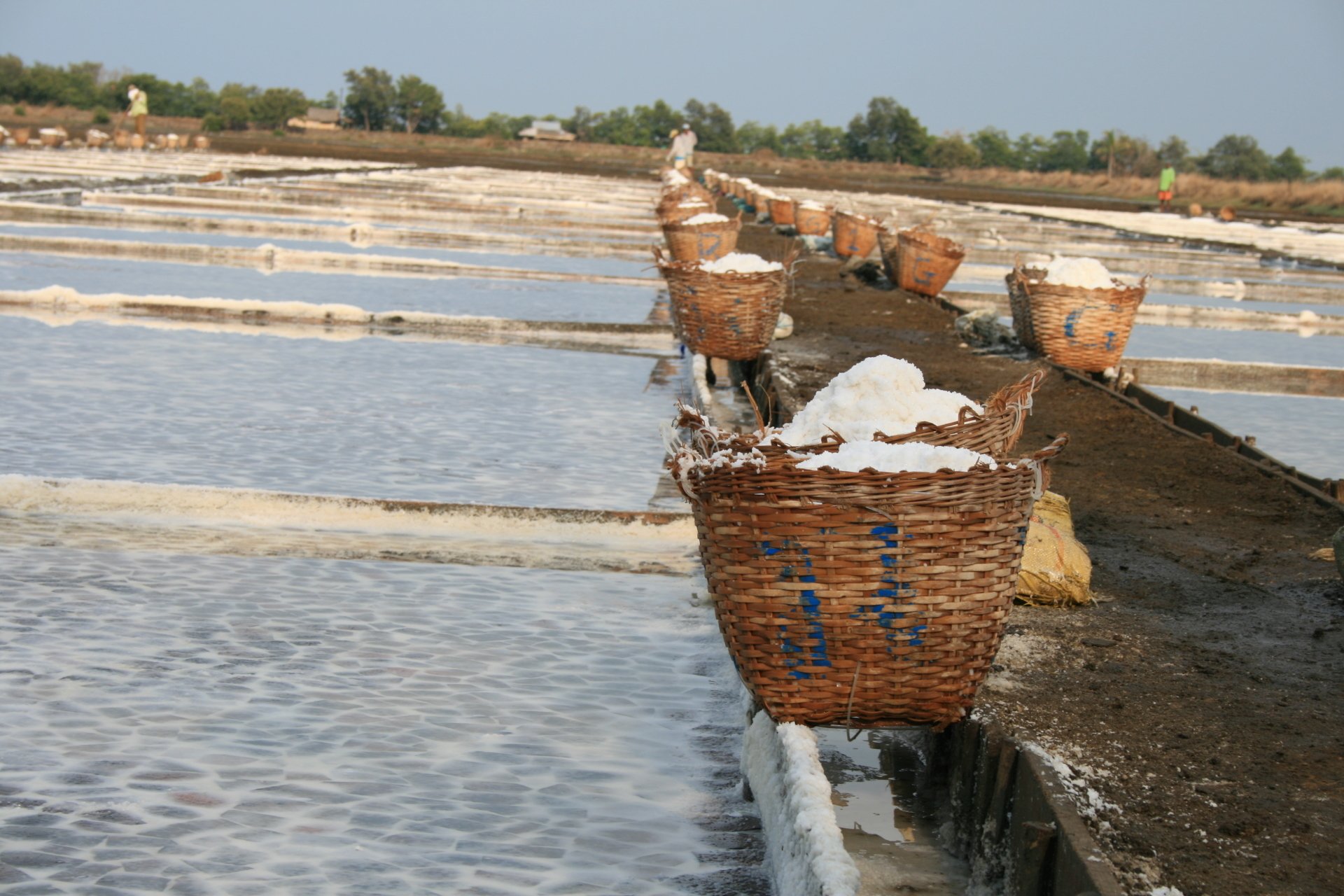 Ilocano Asin | Pangasinan Philippine Sea Salts | xroads Philippine Sea ...
