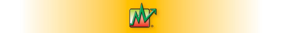 What is a MORBiZ Web Presence Campaign?