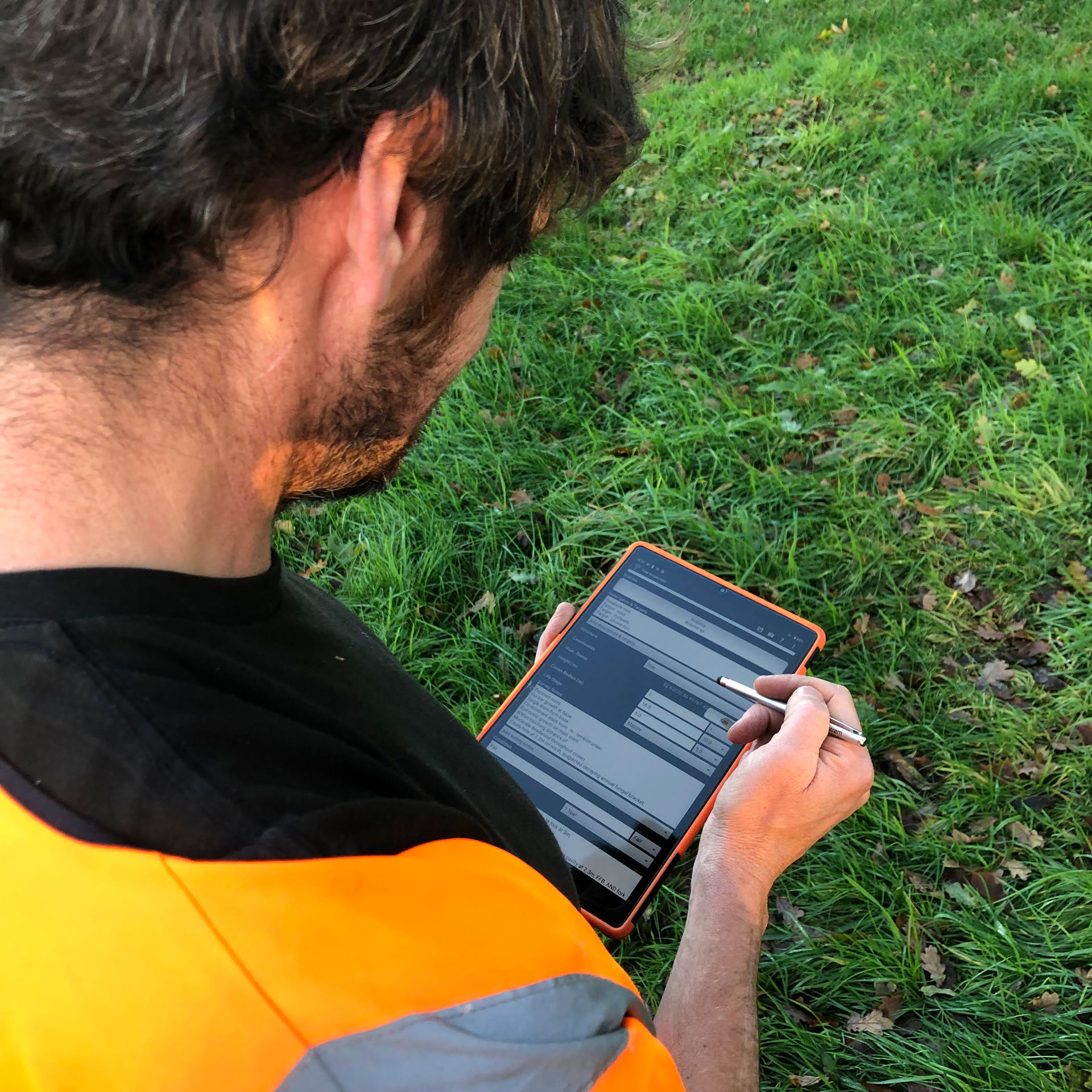 TREE SURVEYS & SAFETY REPORTS FROM THE TREE MANAGEMENT COMPANY