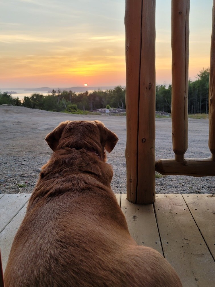 The Bluff House Inn, Maine: Inns and Cabins overlooking Frenchman bay