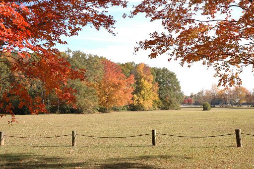The Perfect Bike Ride: Dr. Bill Sims Trail
