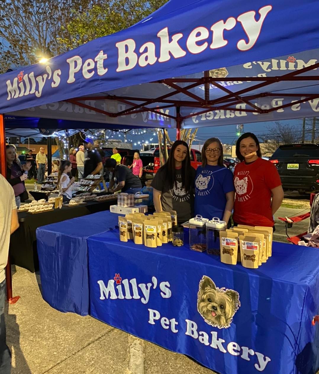 3rd Fridays in Downtown Decatur