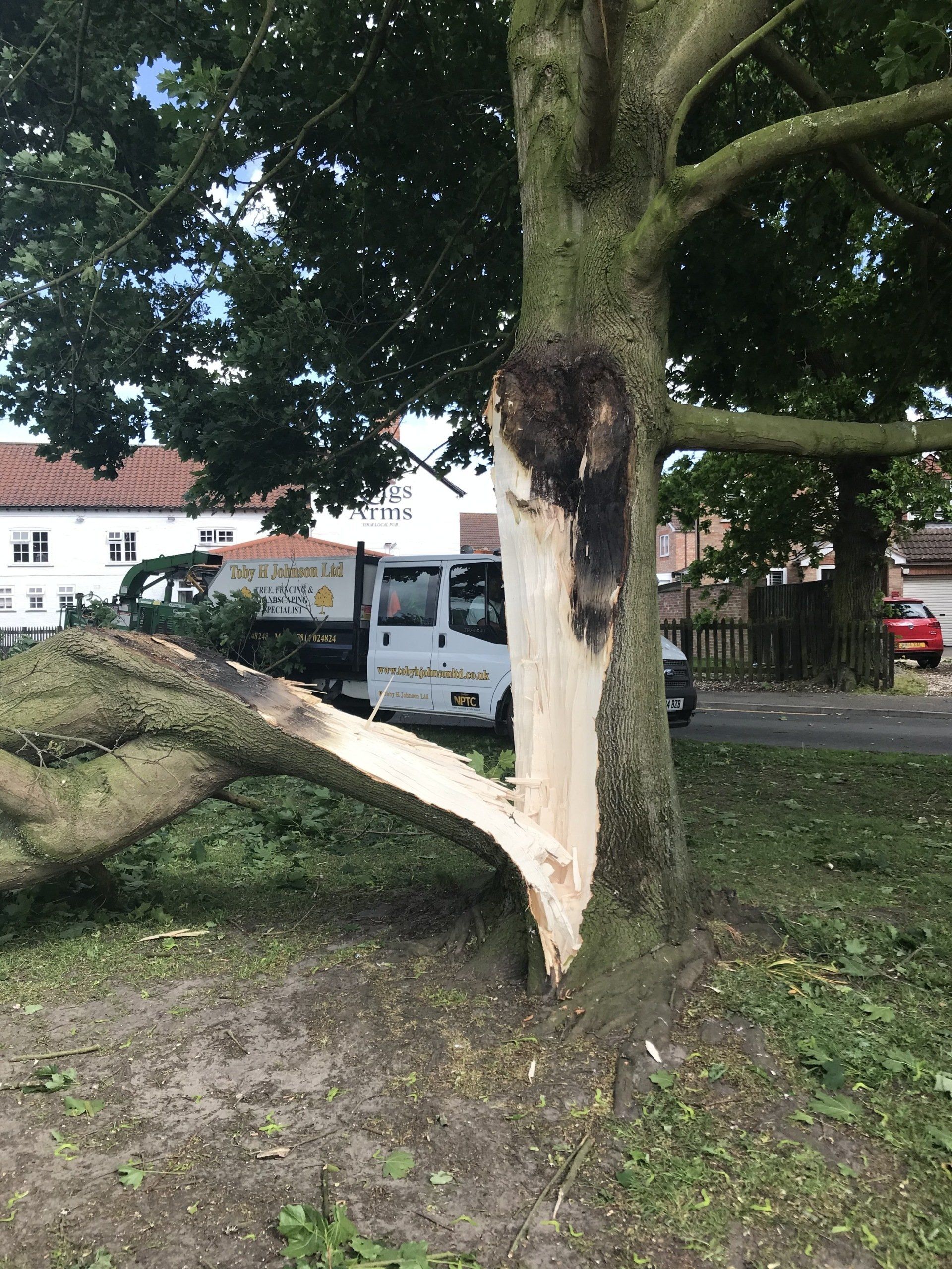 Tree Surgeons in York | Tree Surgery York | Toby H Johnson