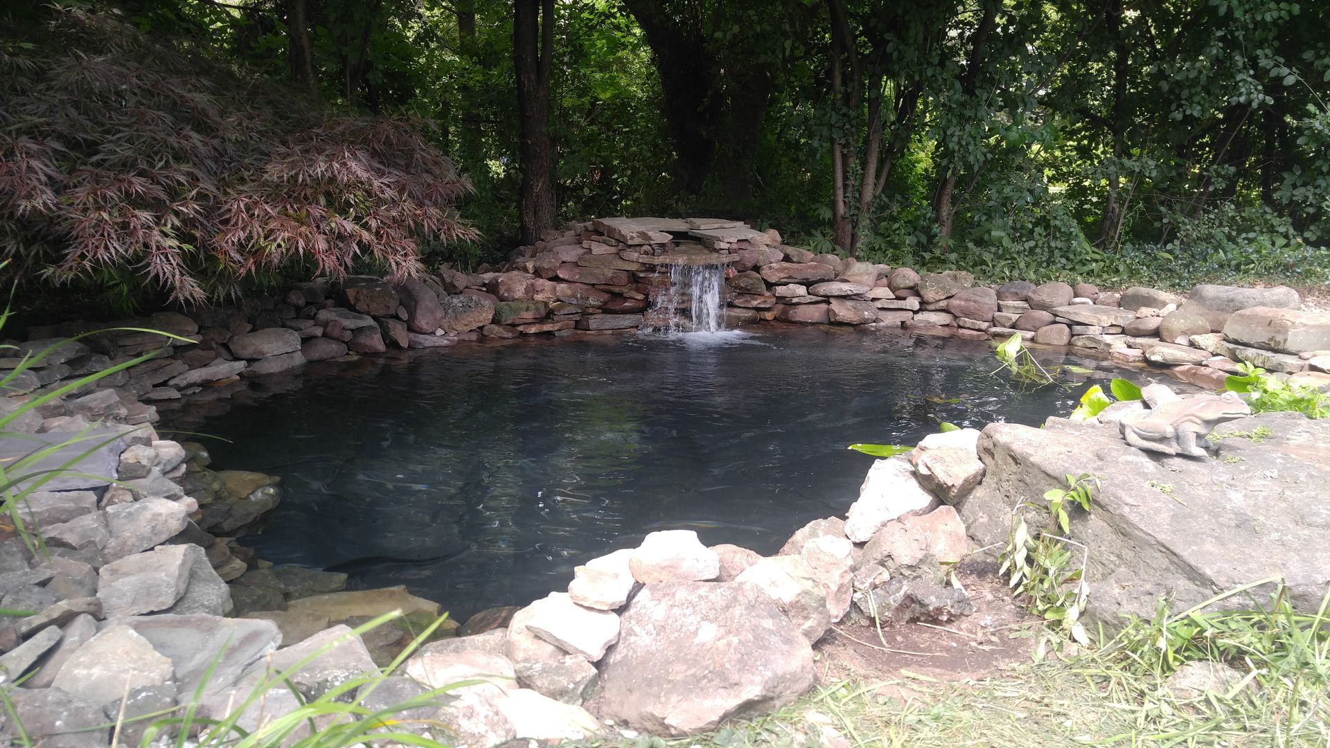 Water Projects | Rochester, NY | Clearly Aquatics