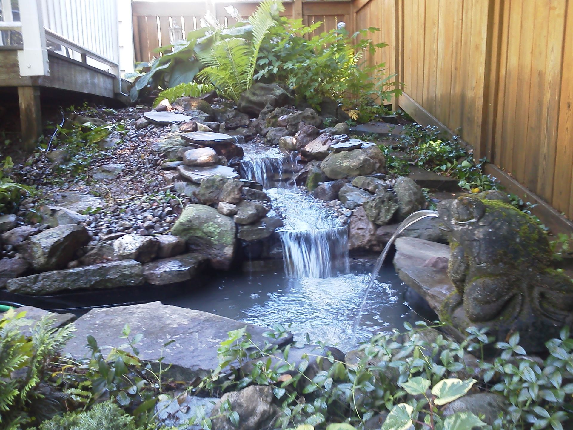 Water Projects | Rochester, NY | Clearly Aquatics