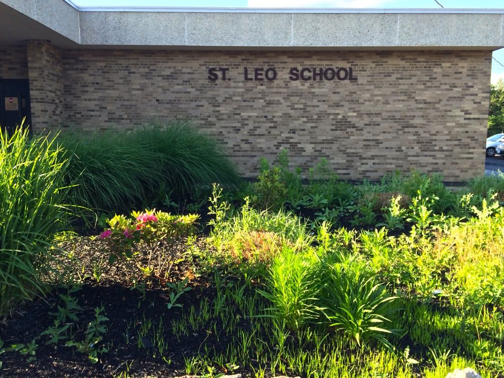 Pictures & Videos | St. Leo the Great Parish