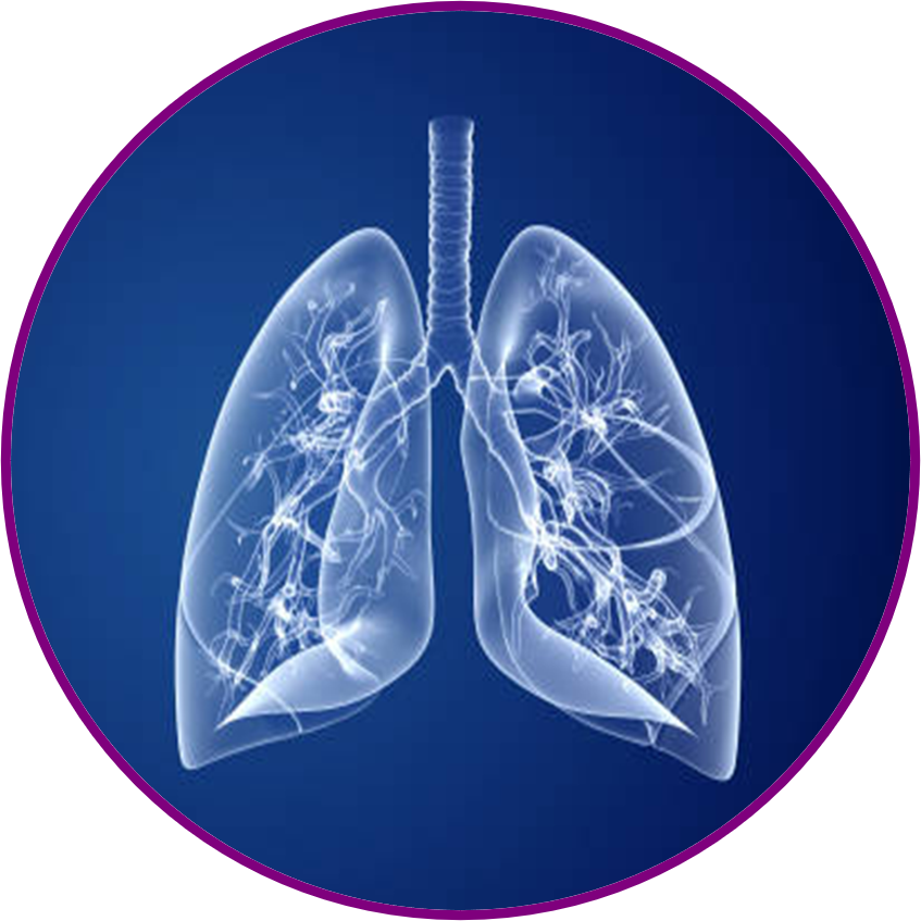 Drug Discovery Services | London - Pharmidex