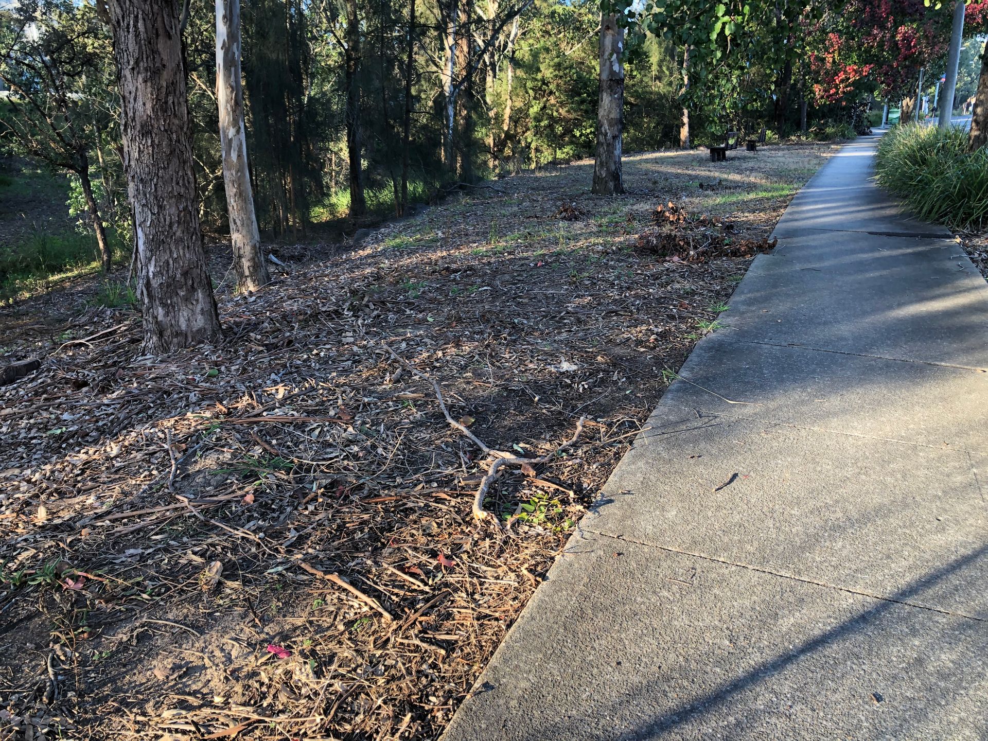 Turf Renovation – Sydney, NSW – Rivers Edge Turf