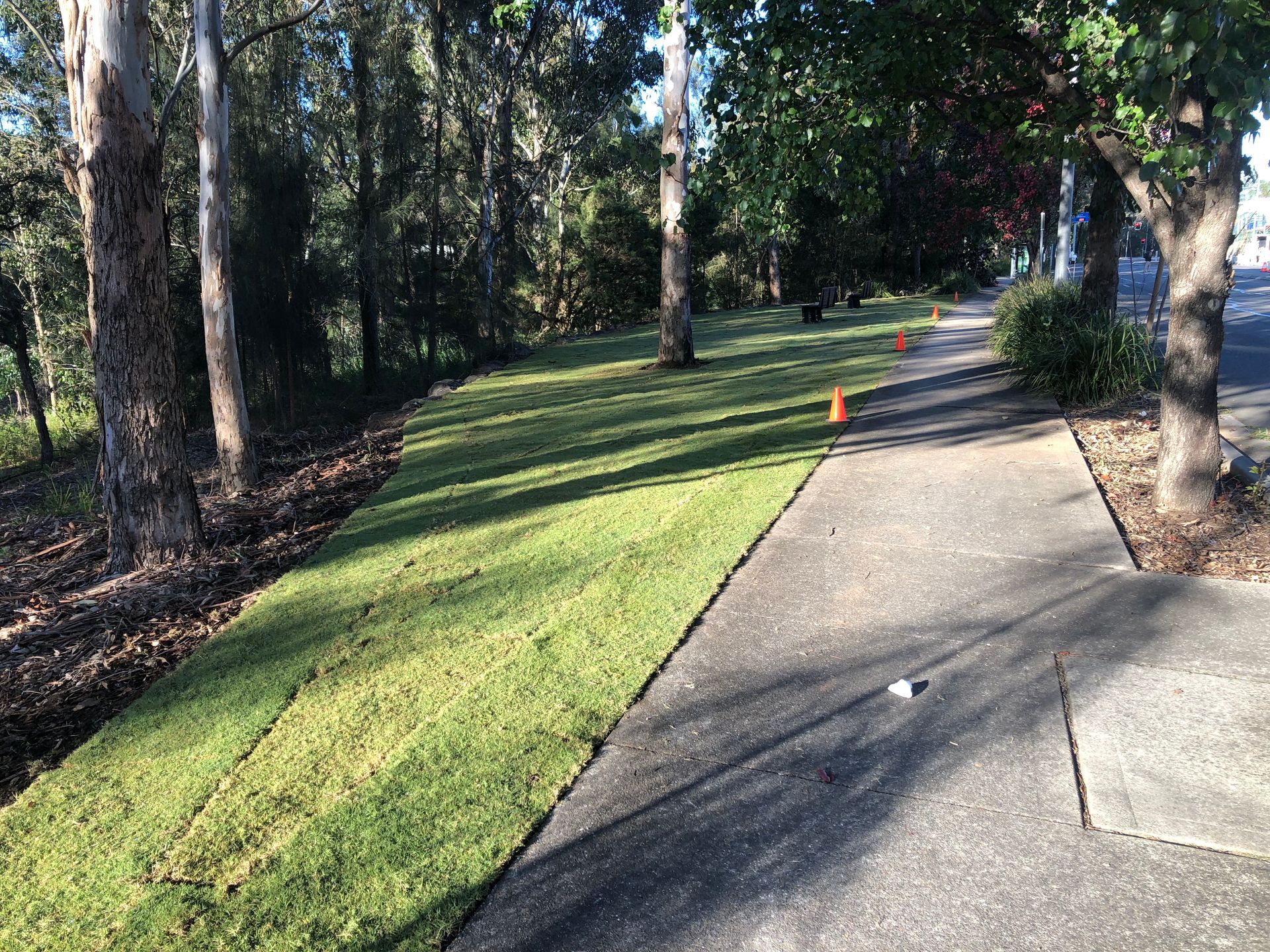 Turf Renovation – Sydney, NSW – Rivers Edge Turf