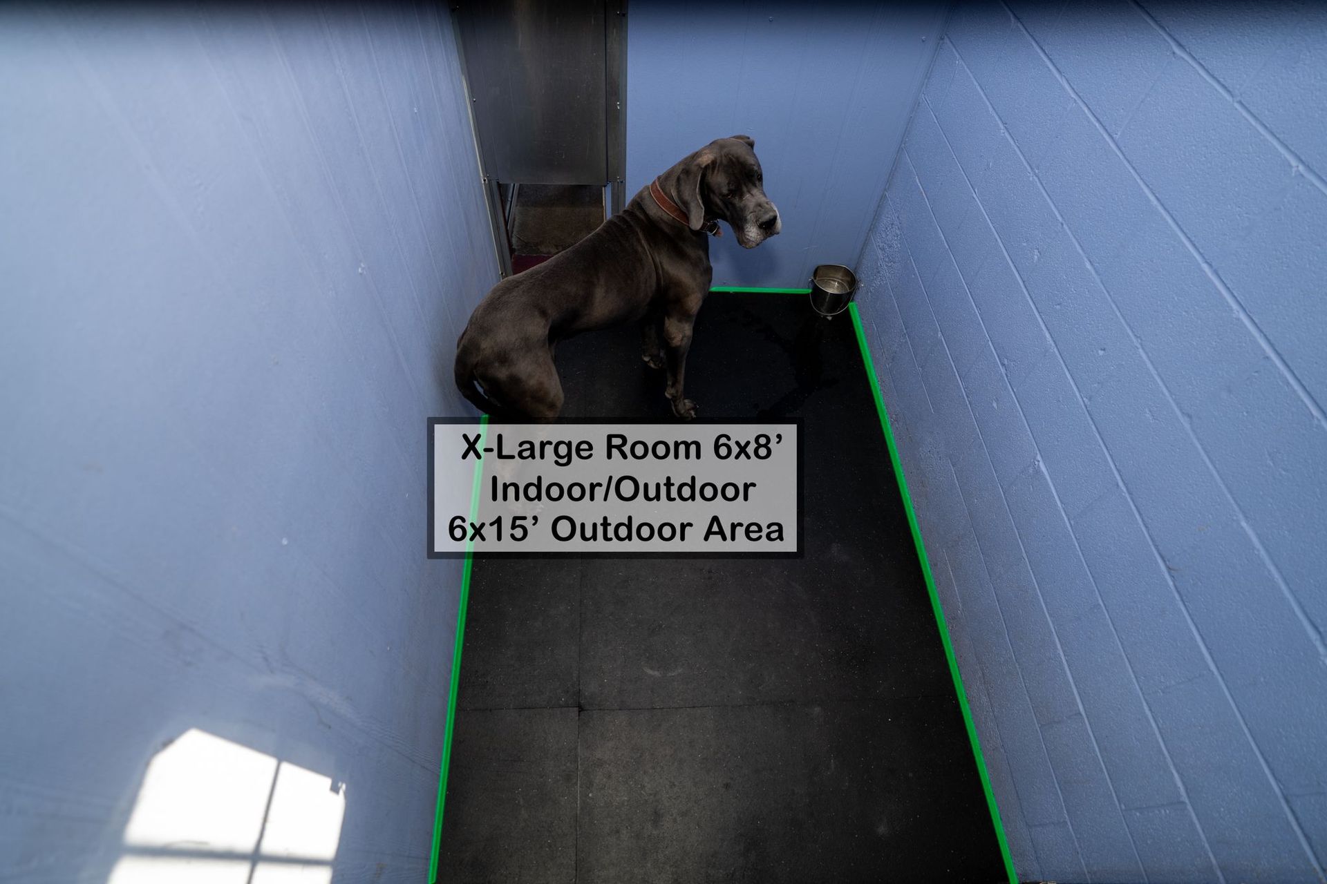 Our Facility - Tri State Pet Care