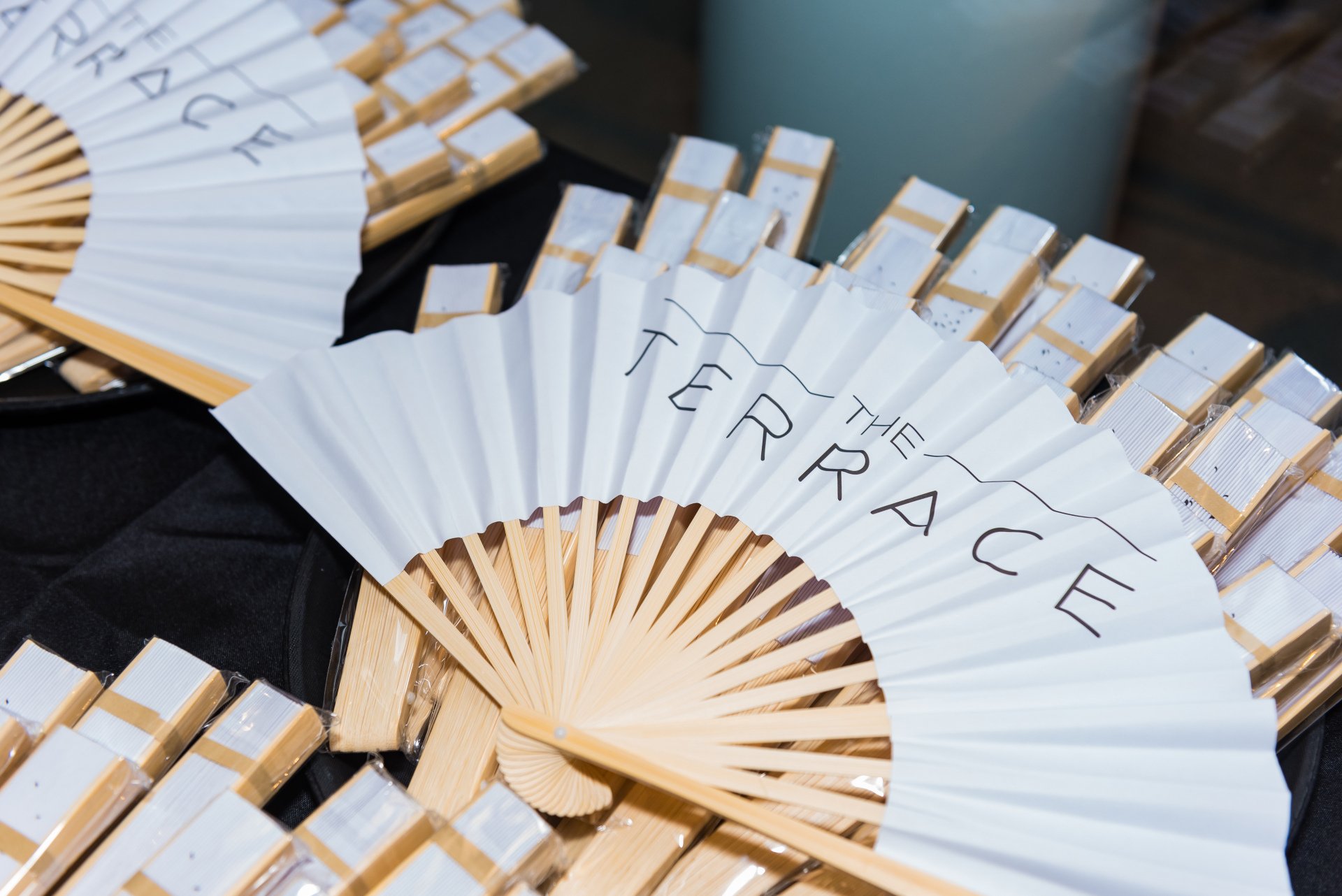 The Terrace VIP Opening