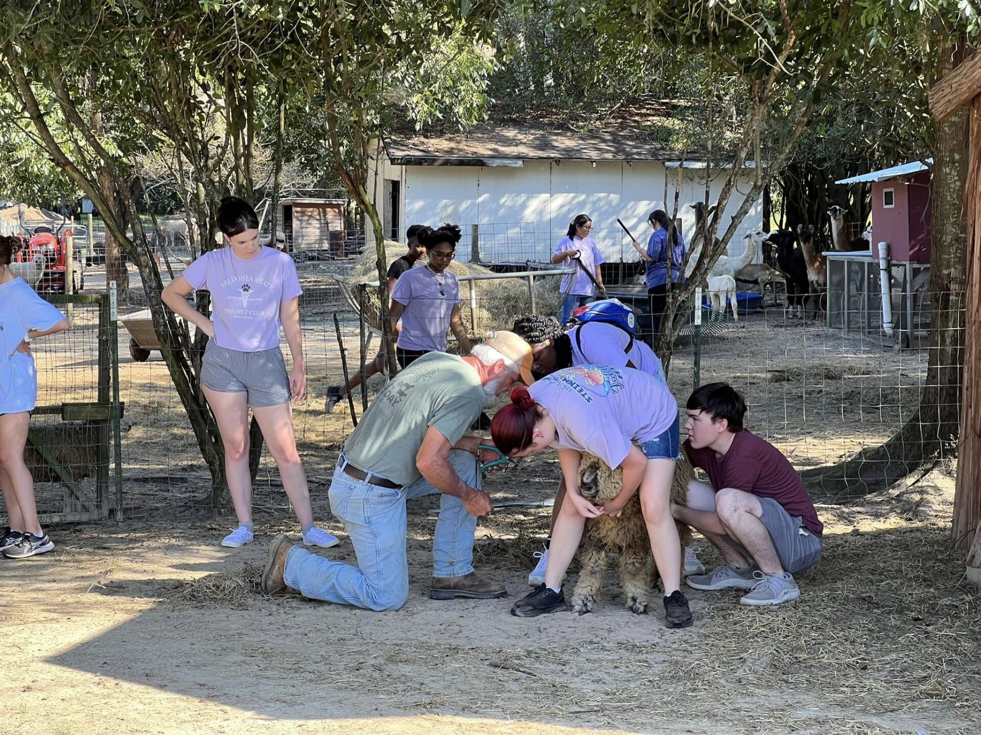 Field Trips at Fifth Day Farms - Learn and have fun! 229-413-3242