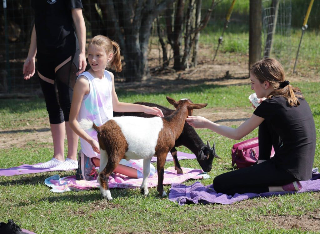 The Goats - Goat Yoga and Goat Grams 229-413-3242