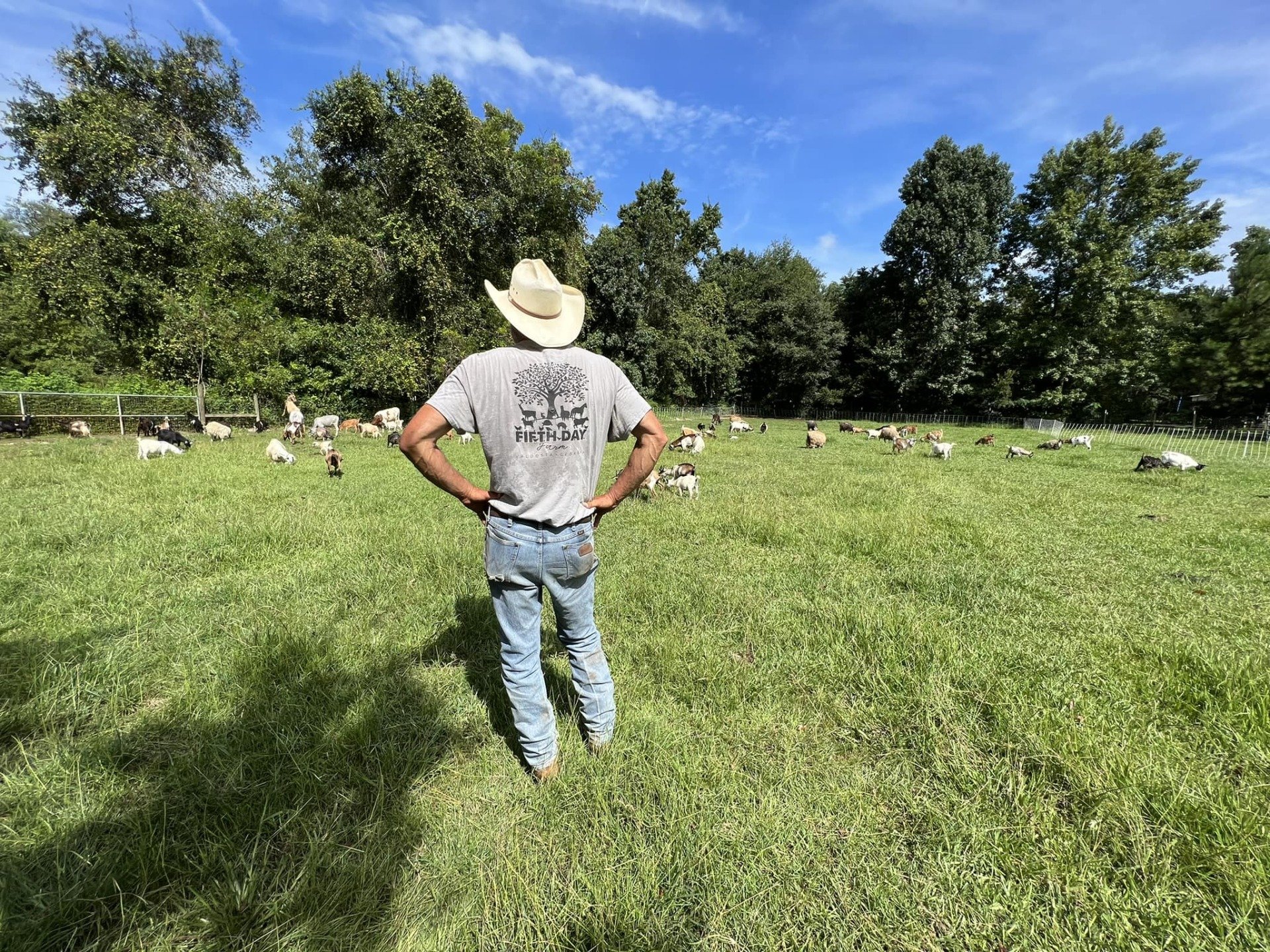 About Fifth Day Farm 229-413-3242