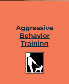 Dog Training Programs | All Dogs Training