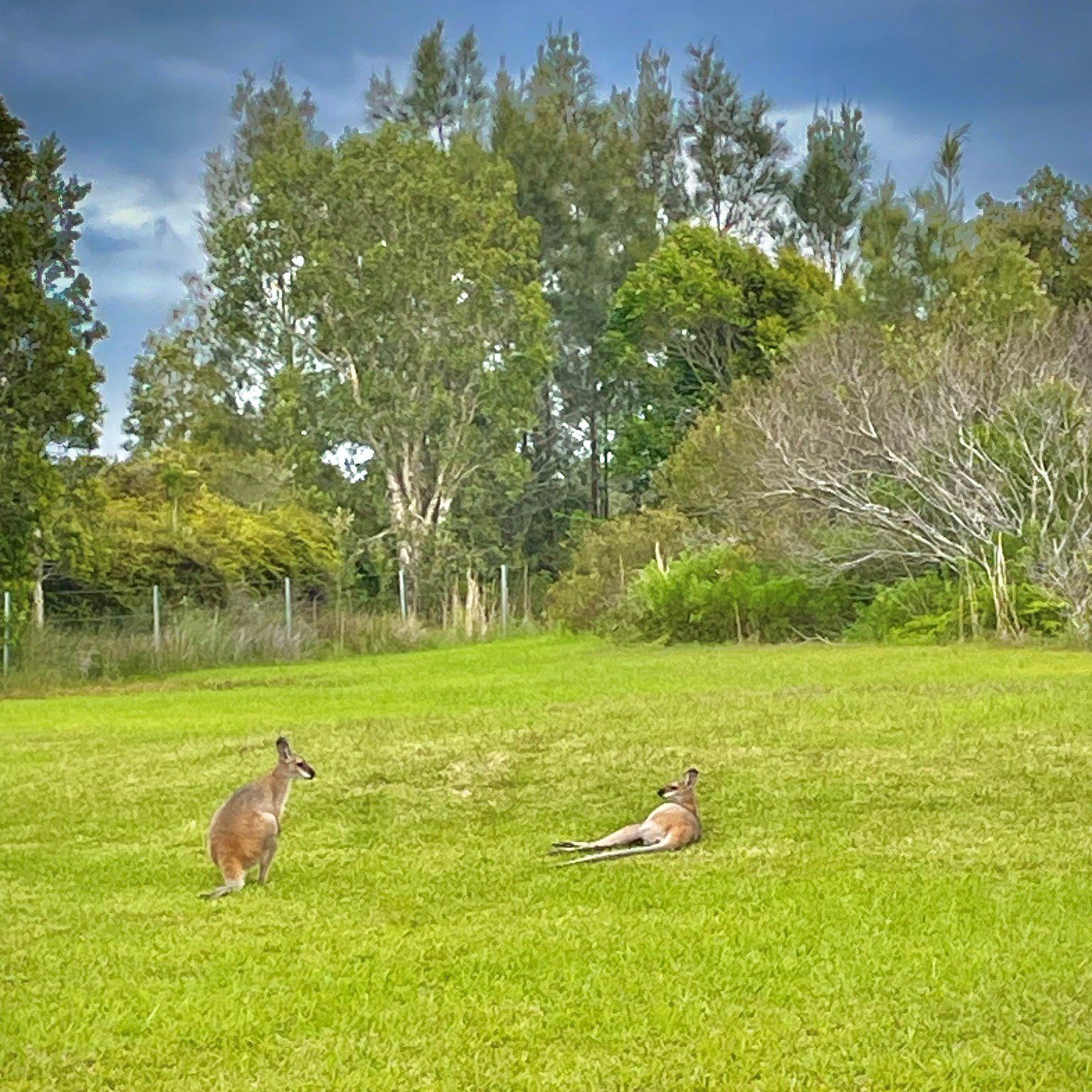 Resort Facilities | Diamond Beach | Seashells Resort