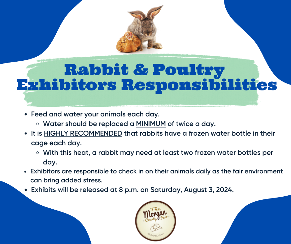 Open Show: Poultry and Rabbit