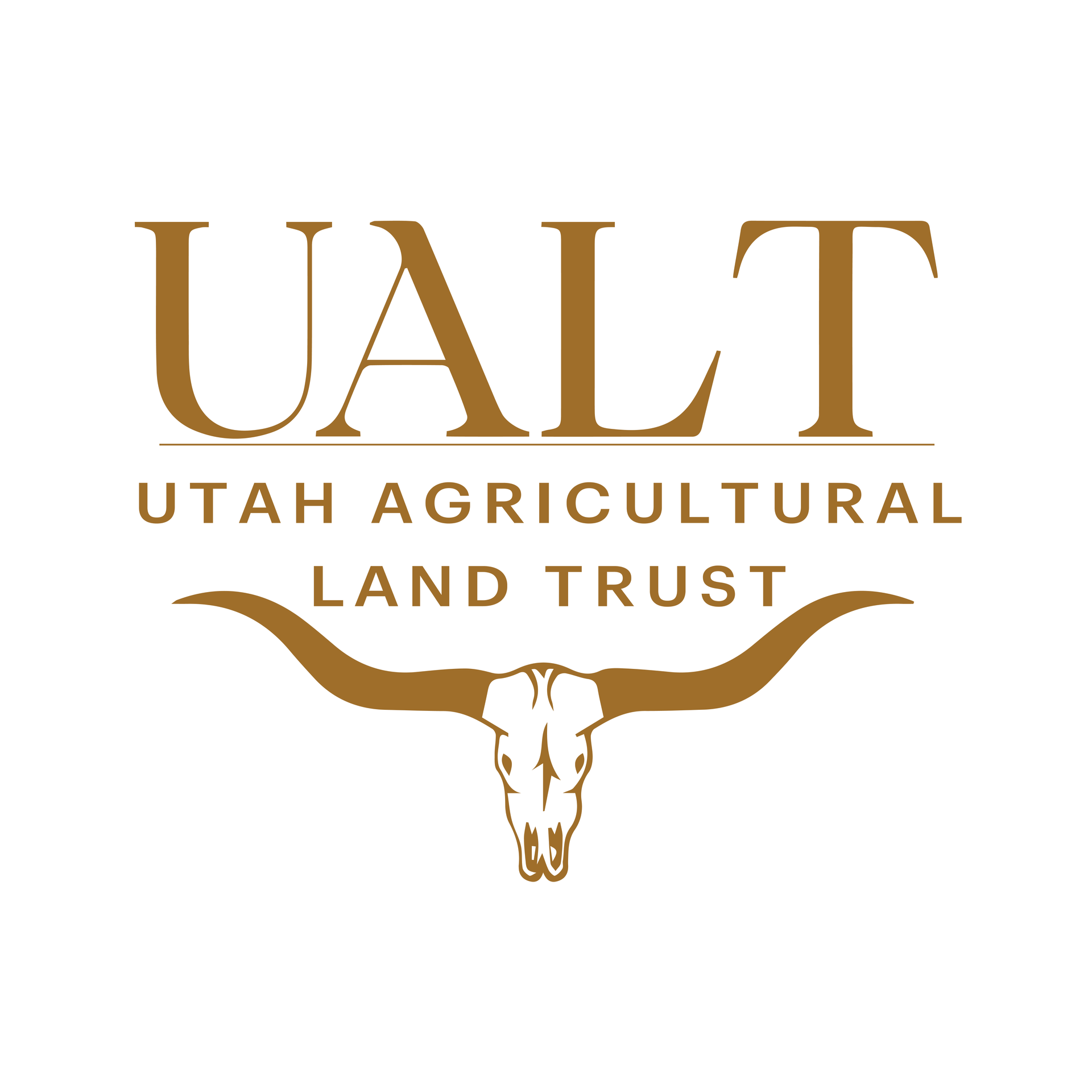 Home [www.morgancountyfair.org]