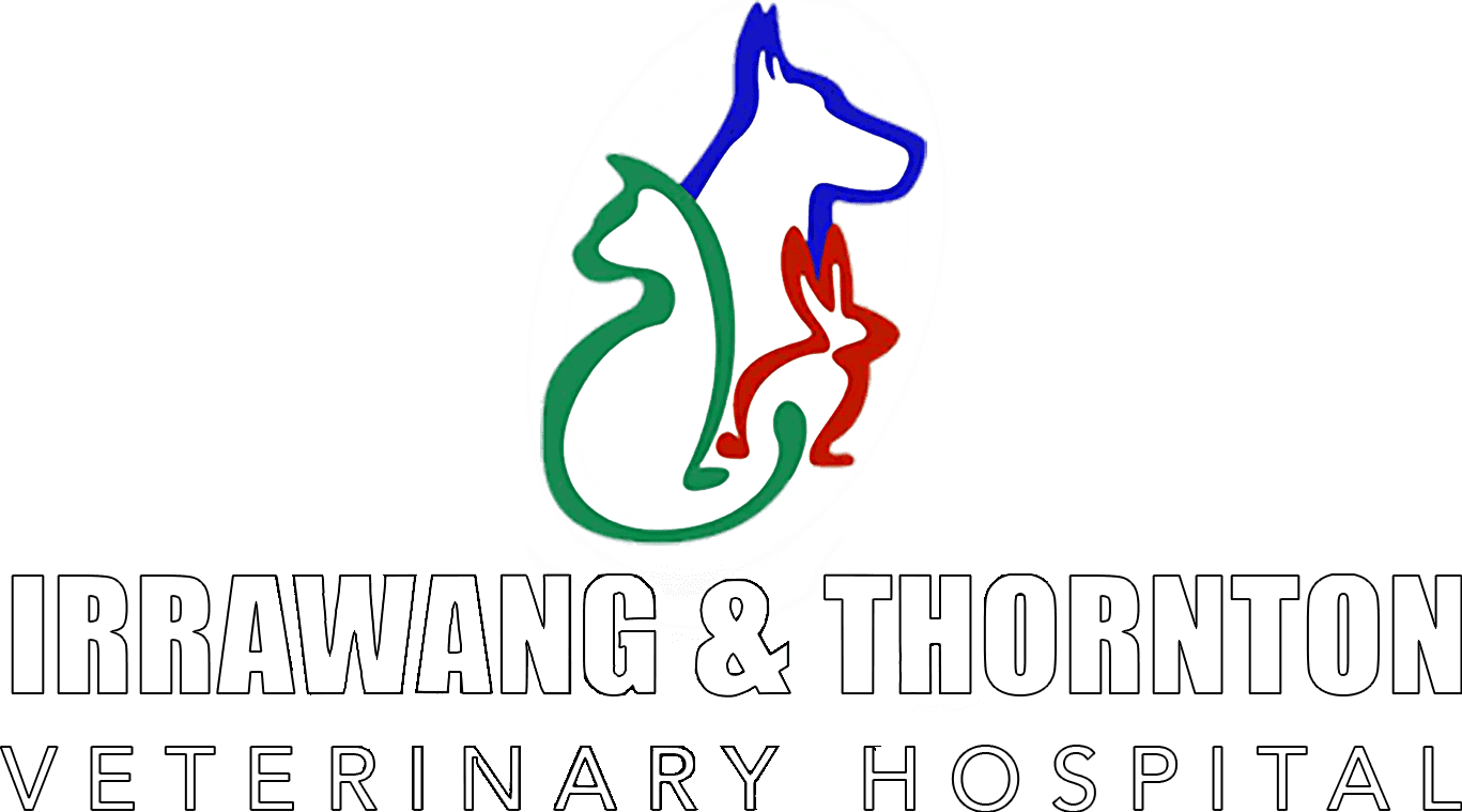 Irrawang Veterinary Hospital | Raymond Terrace, NSW | Home