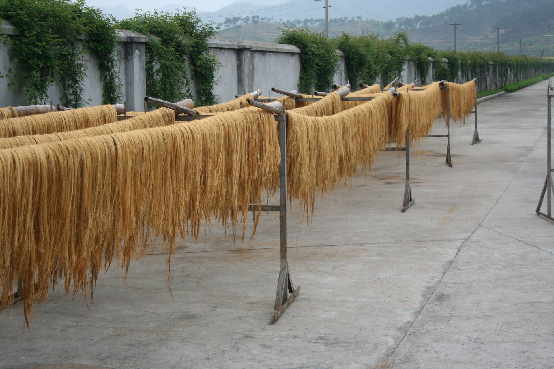 Grass Cloth | Textile Wallcoverings International