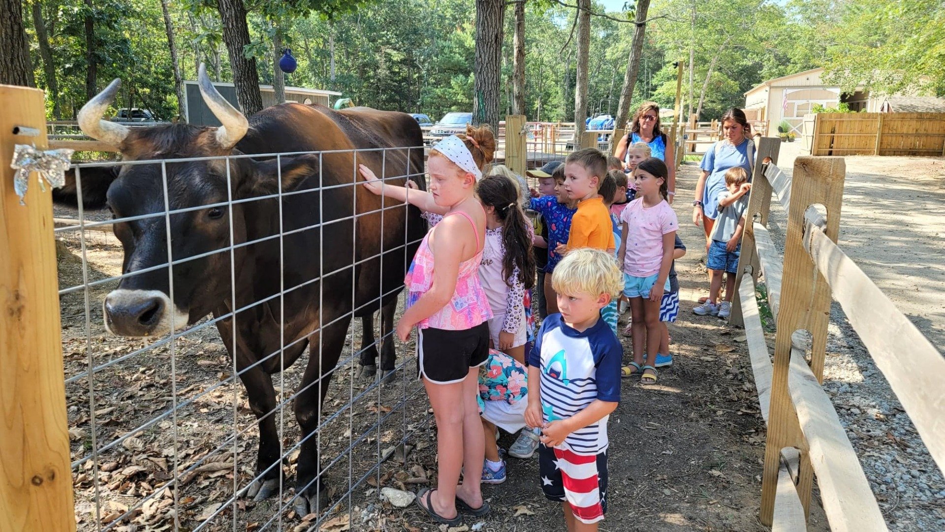 Little Hooves Farm | Farm Experience