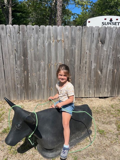 Little Hooves Farm | Farm Experience