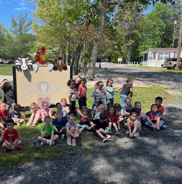 Little Hooves Farm | Farm Experience