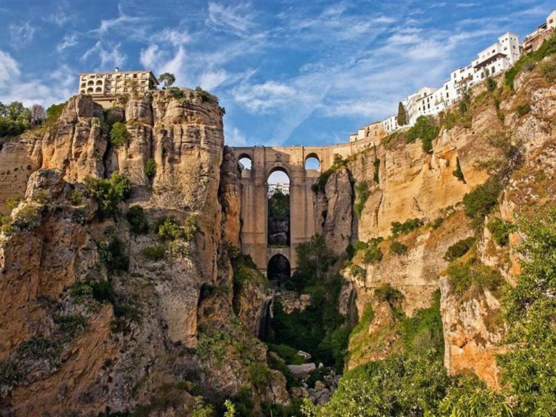 Ronda winery private tour, day trips and shore excursions from Seville