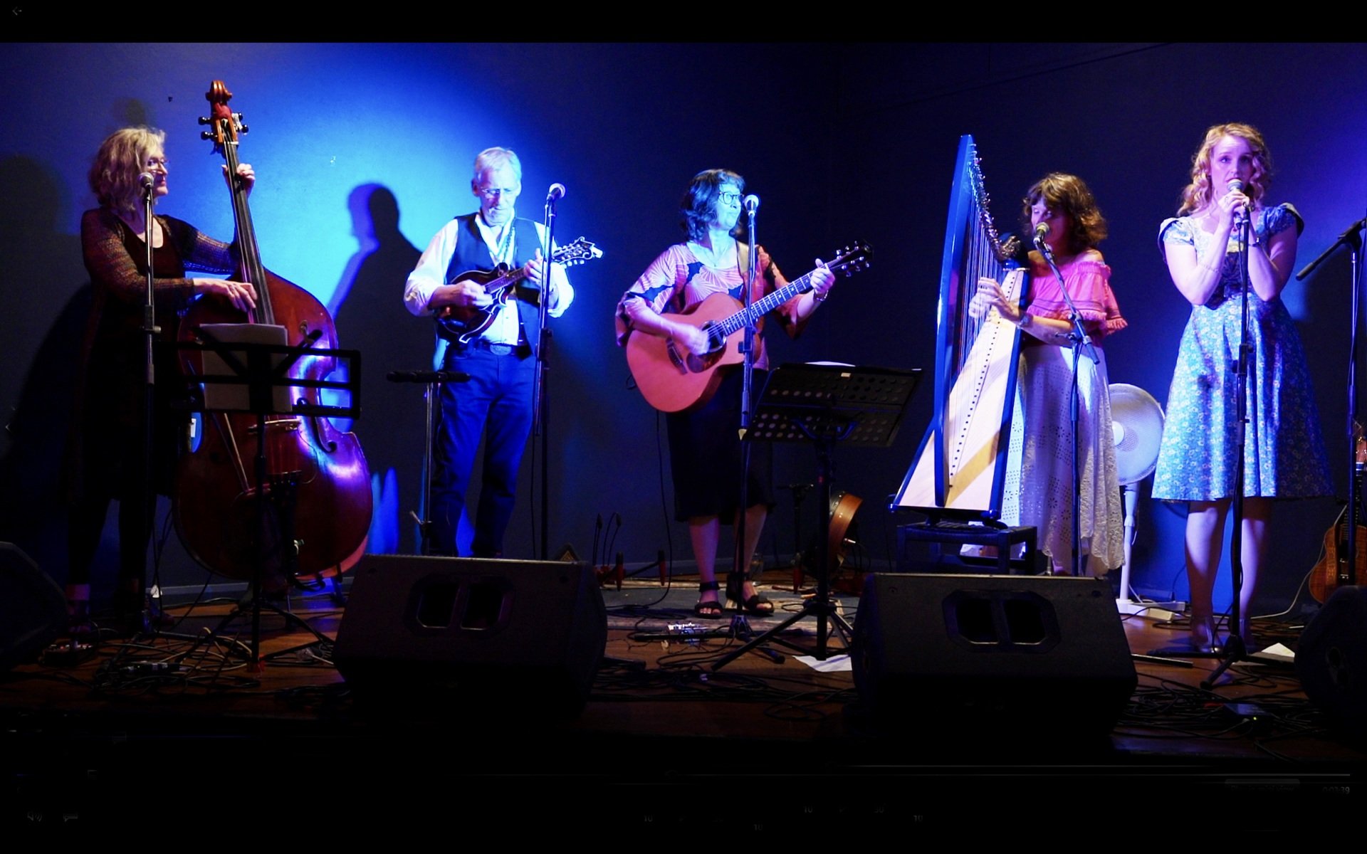 Irish and Celtic Music Festival