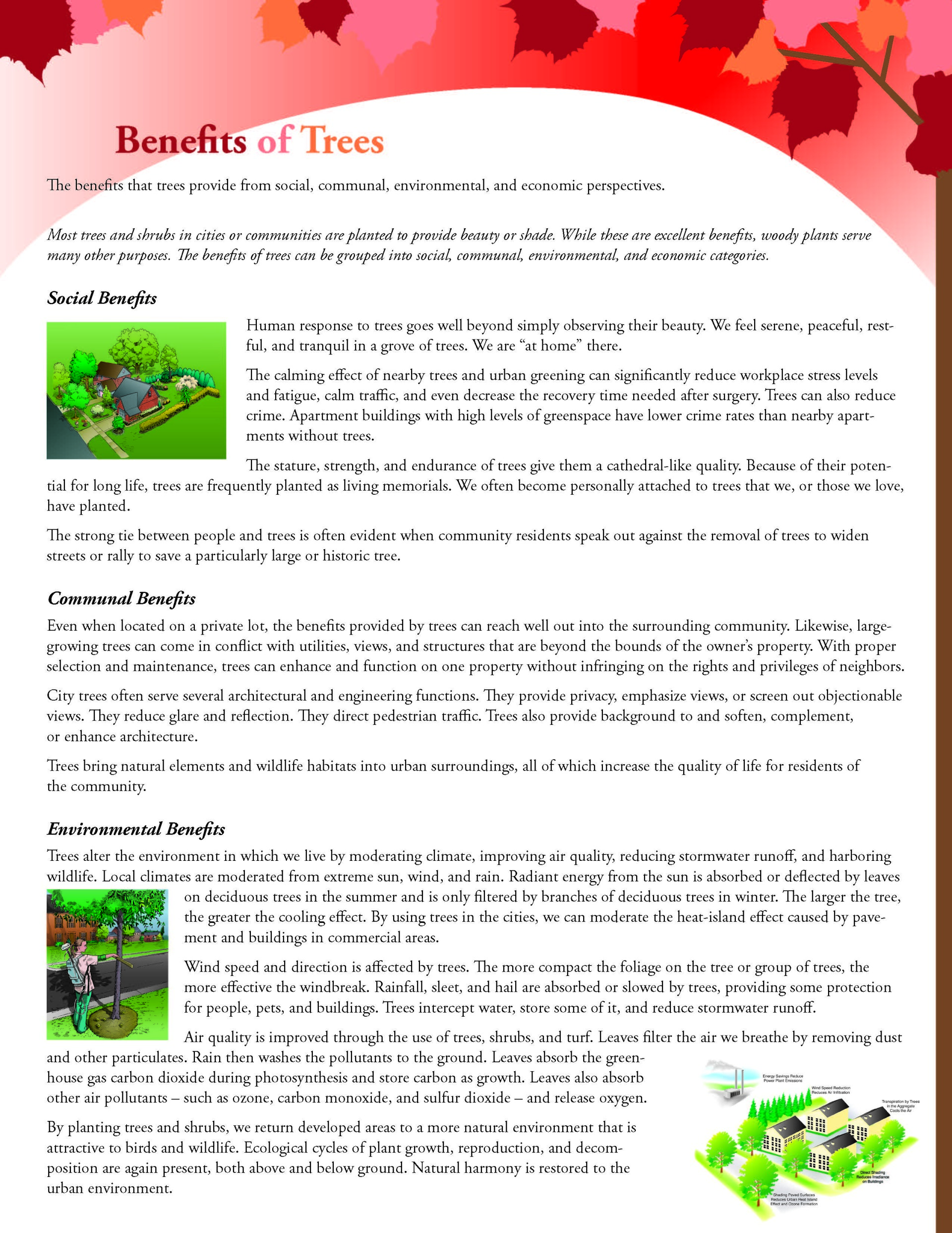 Benefits of Trees | Kingston, NY | Roots Up Plant Health Inc.