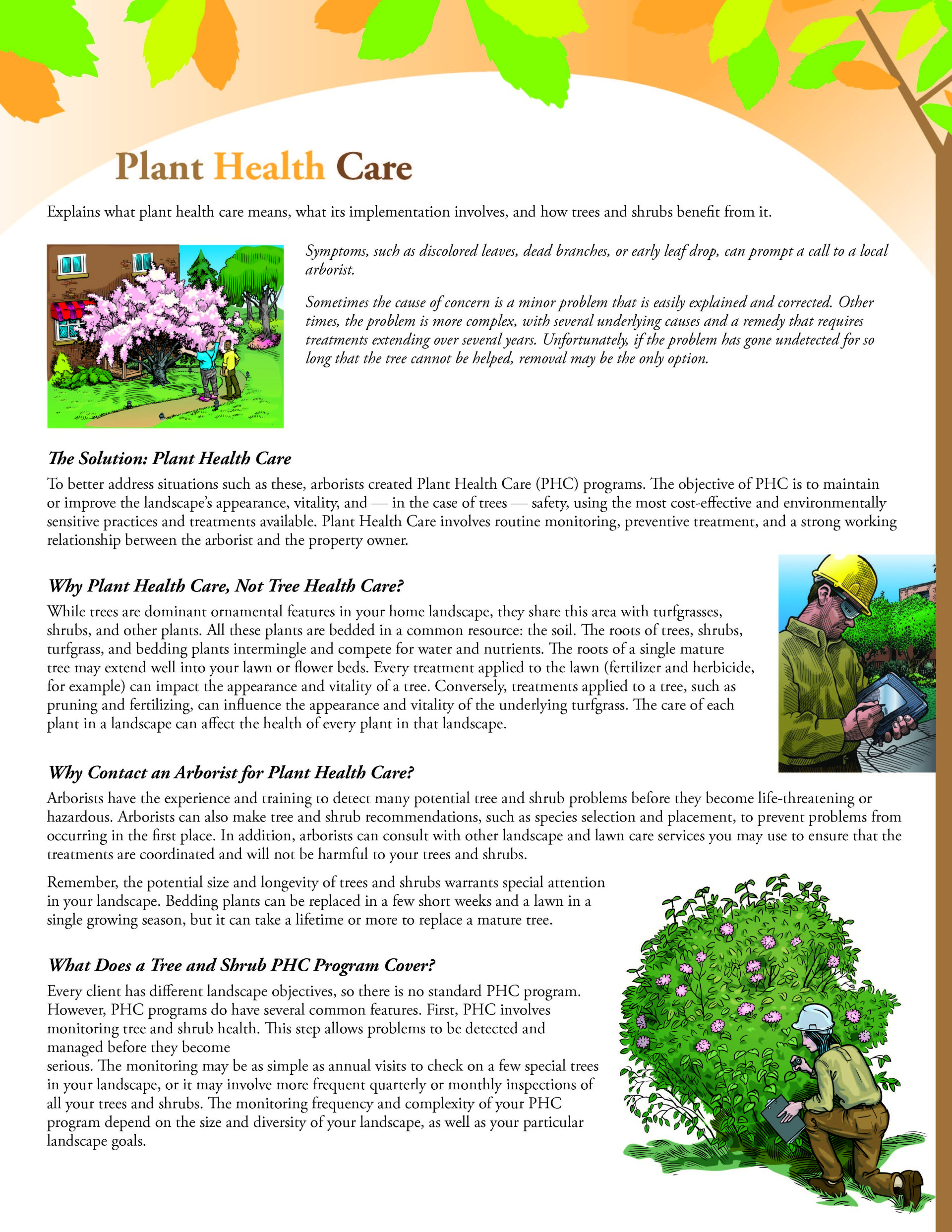Plant Health Care | Kingston, NY | Roots Up Plant Health Inc.