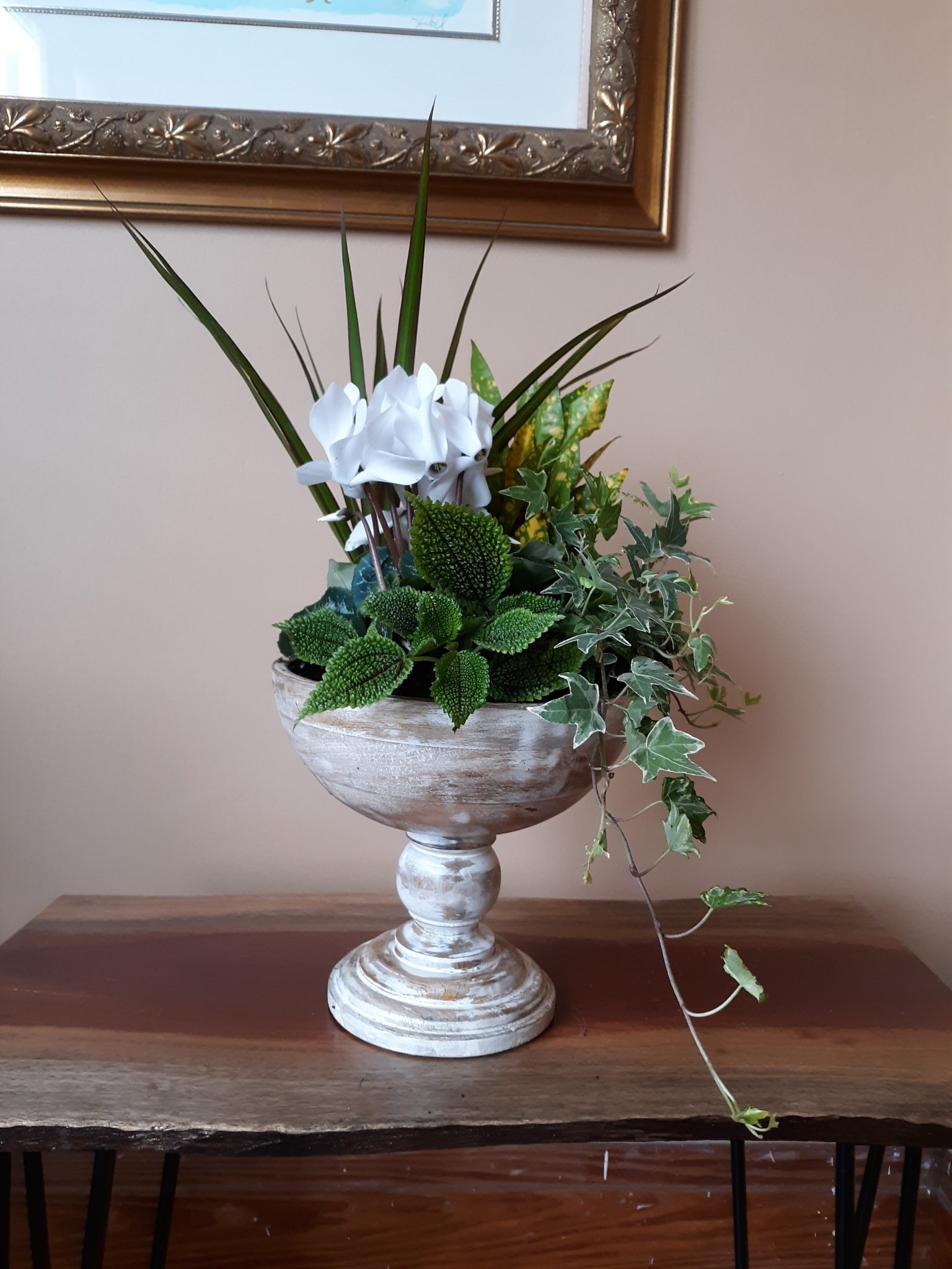 Custom Plants Arrangements | Sisters Squared Florist