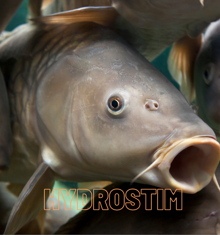 AMINOTEC x BIOSOURCE BAITS • Scientifically Designed and Proven Fish ...