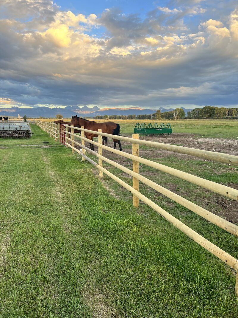 Privacy Fence | Idaho Falls, ID | Elevated Deck & Fence