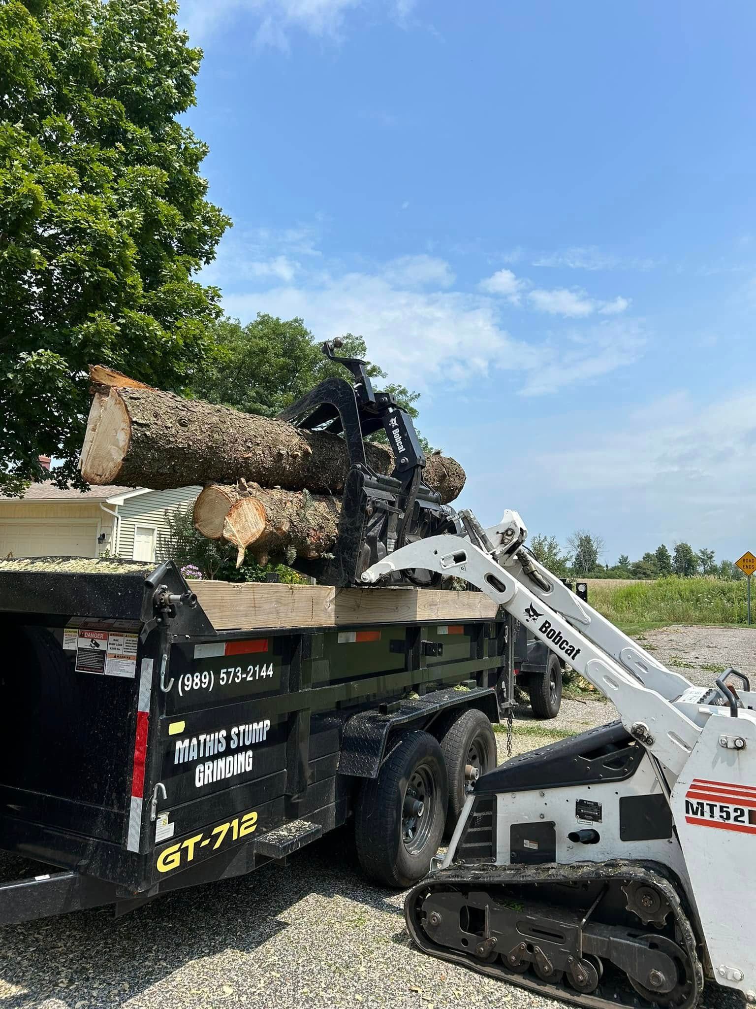 Home [mathistreeservice.com]