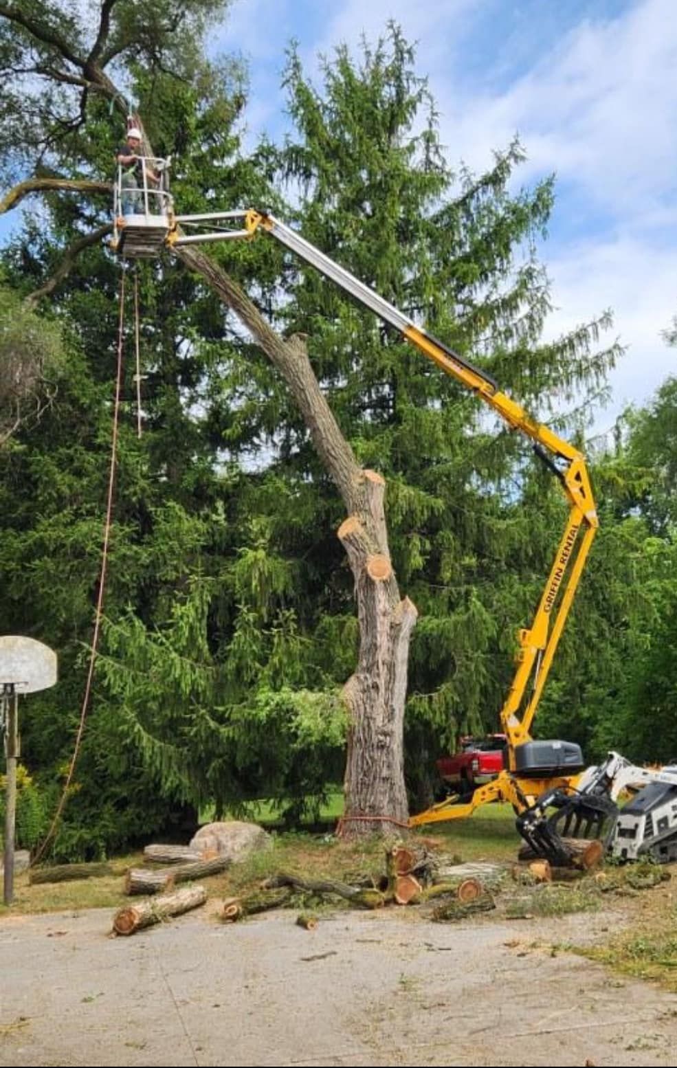 Home [mathistreeservice.com]