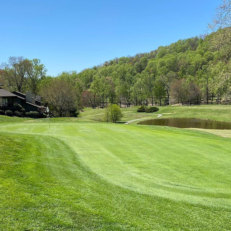Golf Updates| Mills River, NC| Chestnut Mountain Golf