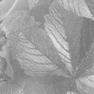 Textured Glass | Austin, TX | Alamo Glass Inc