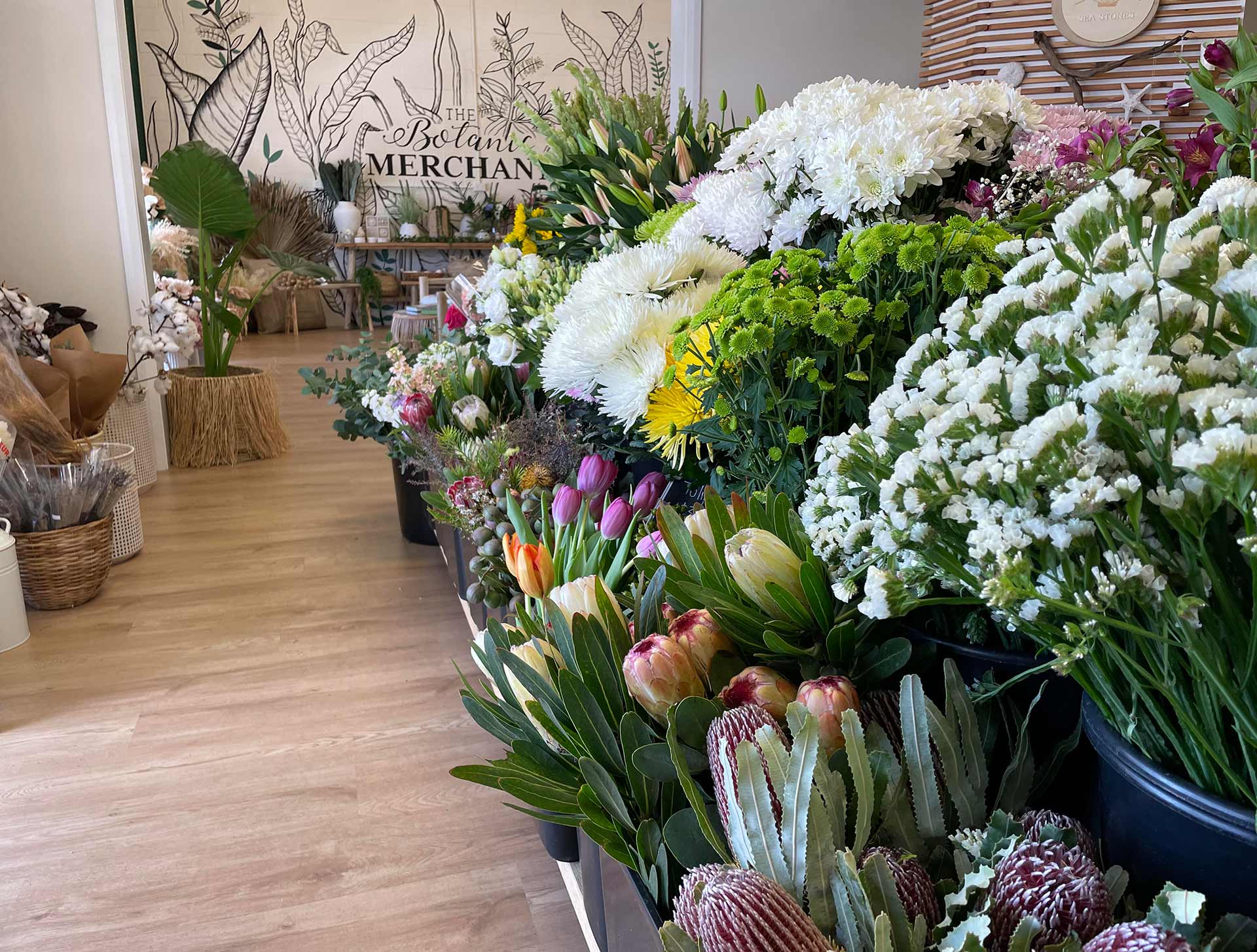 Shop - The Botanic Merchant